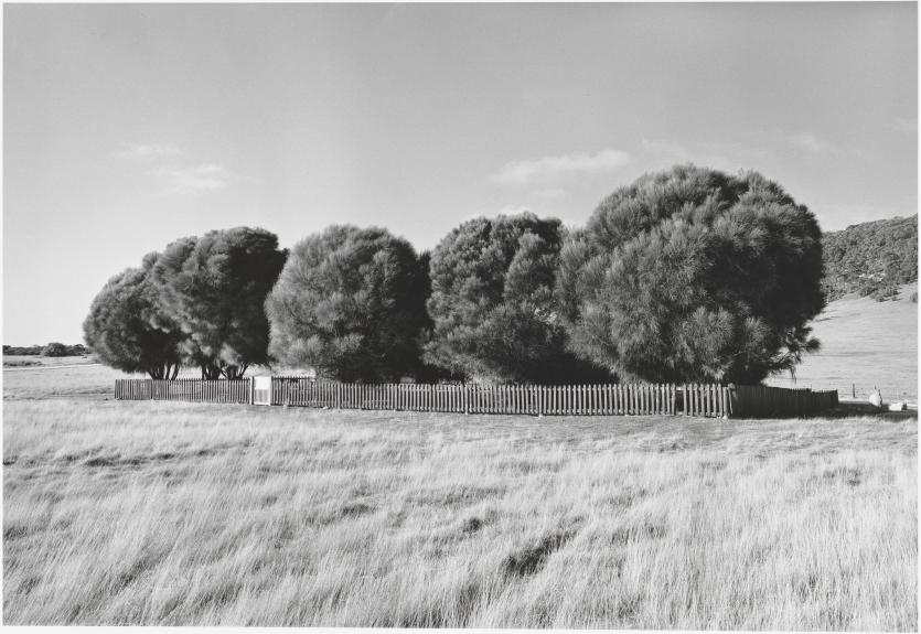 The healing garden, Wybalenna, Flinders Island, Tasmania | Ricky ...