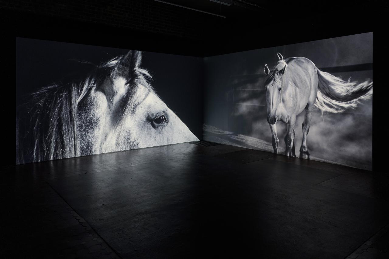 Amos Gebhardt | NGV | Melbourne Now